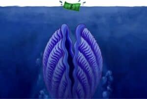 SpongeBob Clams Guide: Revisiting Mr. Krab's Millionth Dollar Episode ...